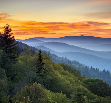 Cabin Packages callout